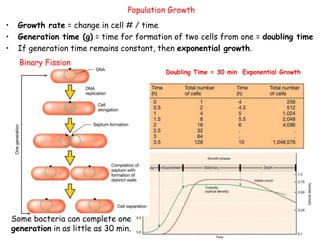 Chapter 6 microbial growth partial | PPT