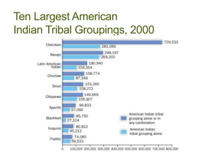 Chapter6 nativeam | PPT