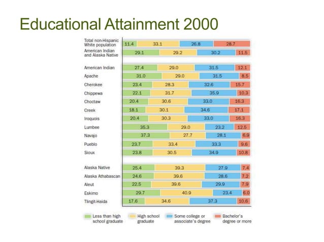 Chapter6 nativeam | PPT