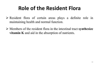 Chapter 6 Normal flora.pptx bacteriology 1 | PPT