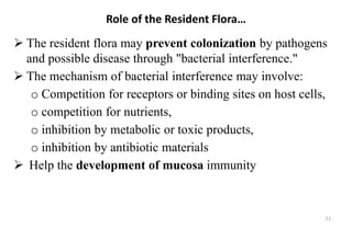 Chapter 6 Normal flora.pptx bacteriology 1 | PPT