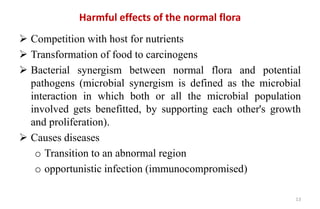 Chapter 6 Normal flora.pptx bacteriology 1 | PPT