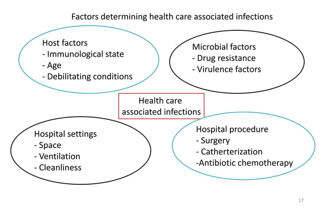 Chapter 6 Normal flora.pptx bacteriology 1 | PPT