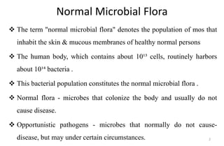 Chapter 6 Normal flora.pptx bacteriology 1 | PPT