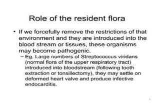 Chapter 6 Normal flora.pptx bacteriology 1 | PPTX