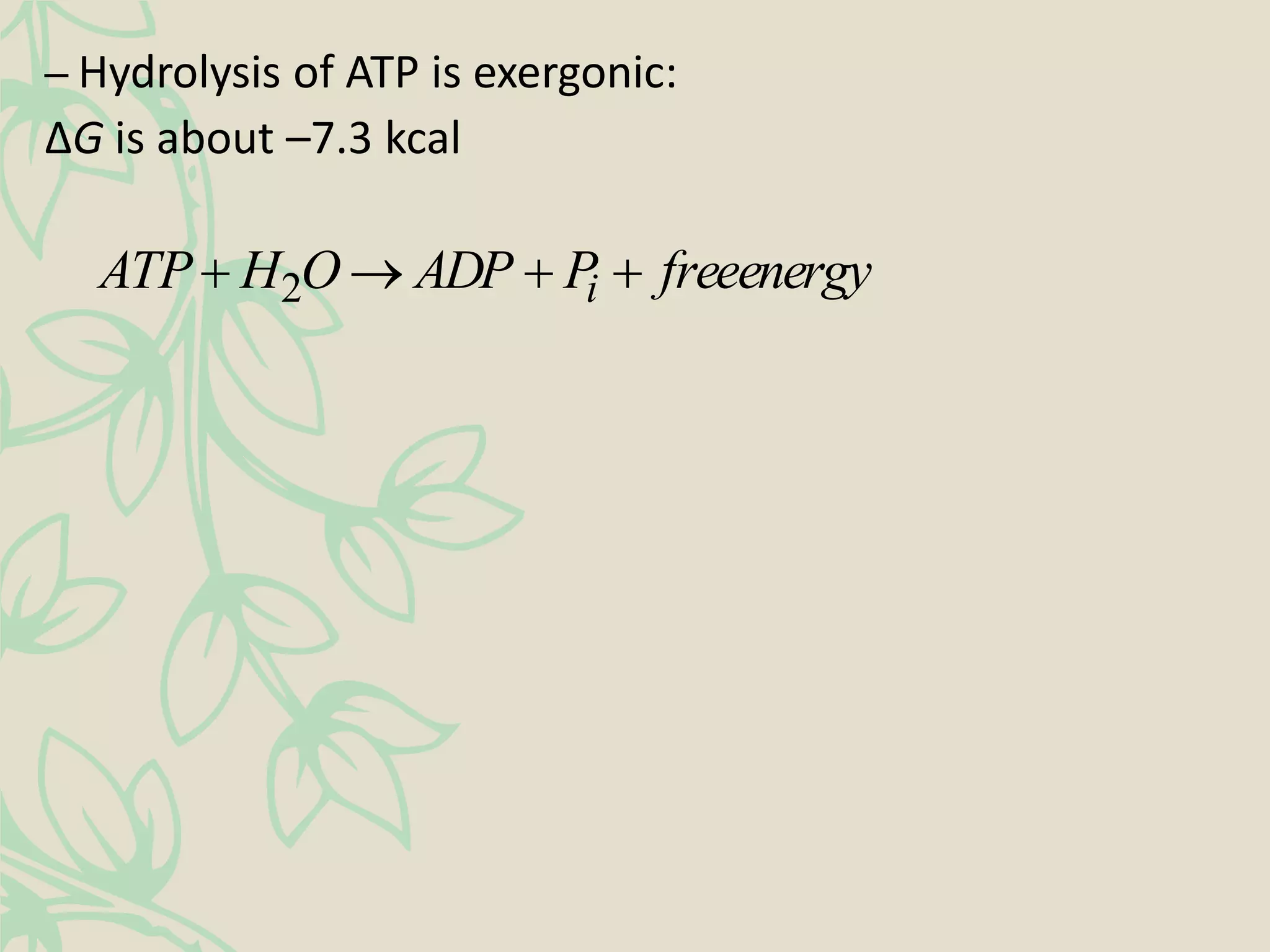 AP Biology Chapter 6 notes Photosynthesis and Respiration | PPT