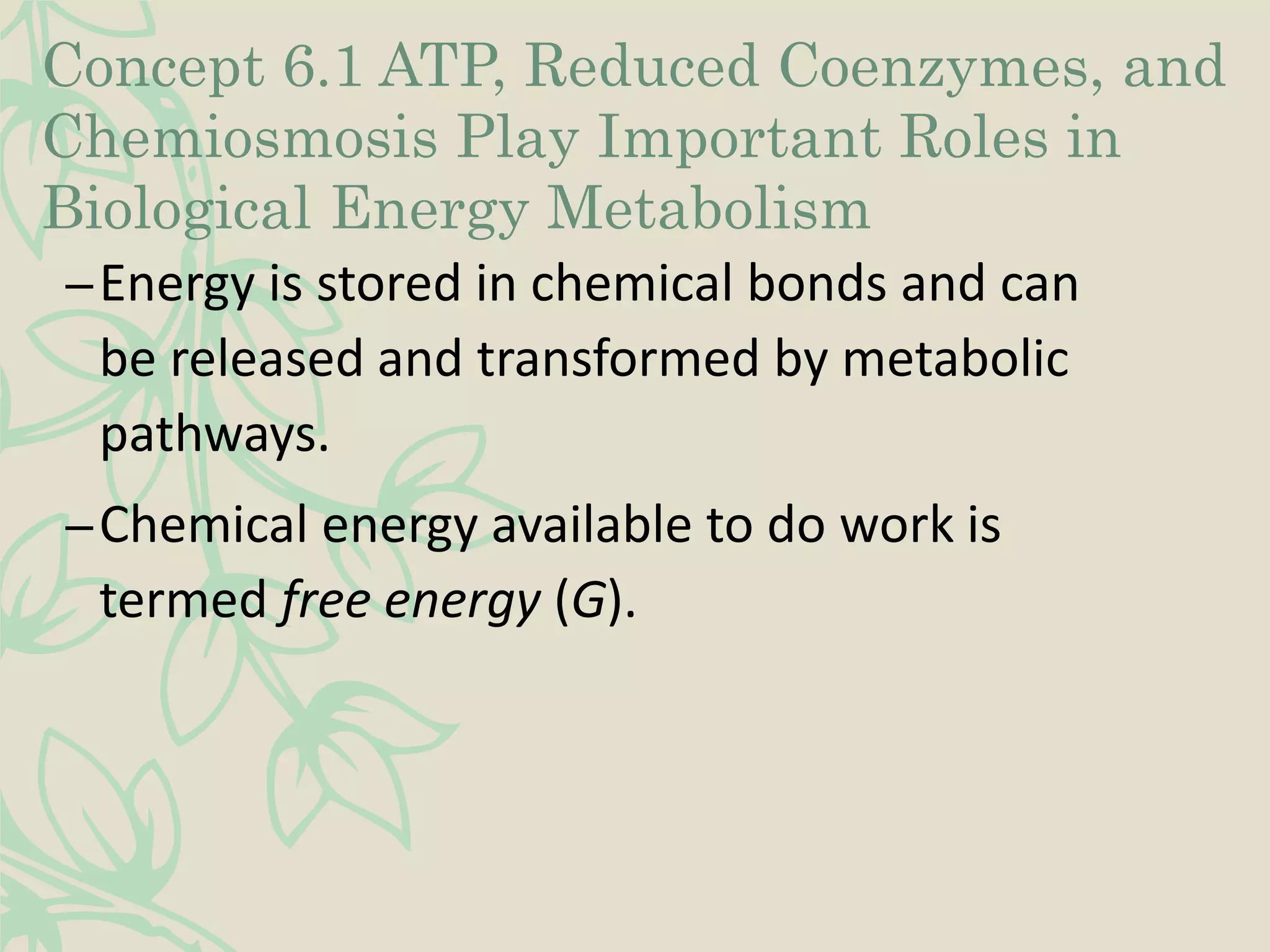 AP Biology Chapter 6 notes Photosynthesis and Respiration | PPT