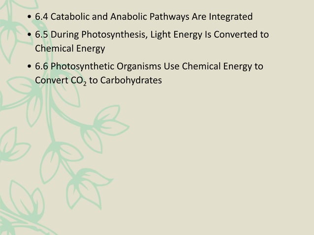 AP Biology Chapter 6 notes Photosynthesis and Respiration | PPT