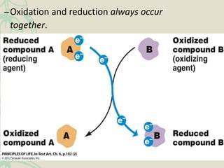 Reduction Biology