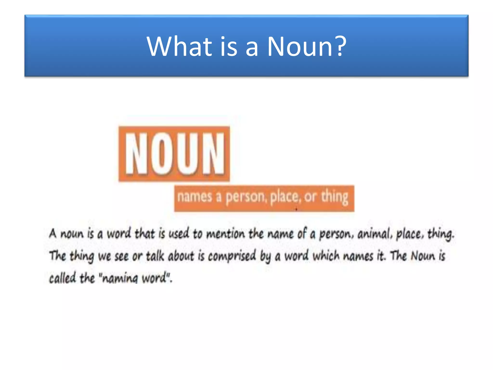 Nouns & Their Functions | PPTX