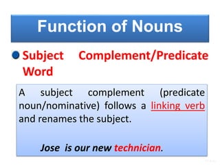 Nouns & Their Functions | PPTX