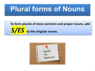 Nouns & Their Functions | PPTX