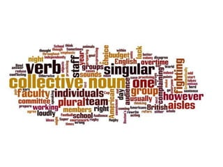 Nouns & Their Functions | PPTX