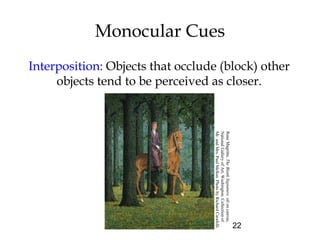 Monocular Cues Interposition
