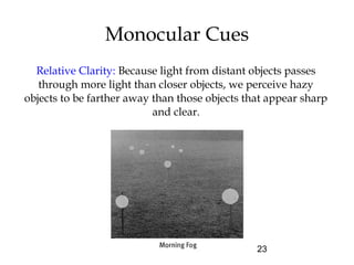 Monocular Cues Relative Size