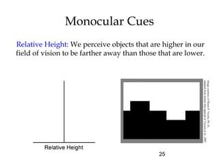 Monocular Cues Relative Motion