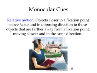 Monocular Cues Relative Height