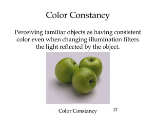 Color Constancy Psychology