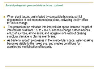 Chapter_ 6 Plant pathogenic Bacteria_Pathogencity.ppt