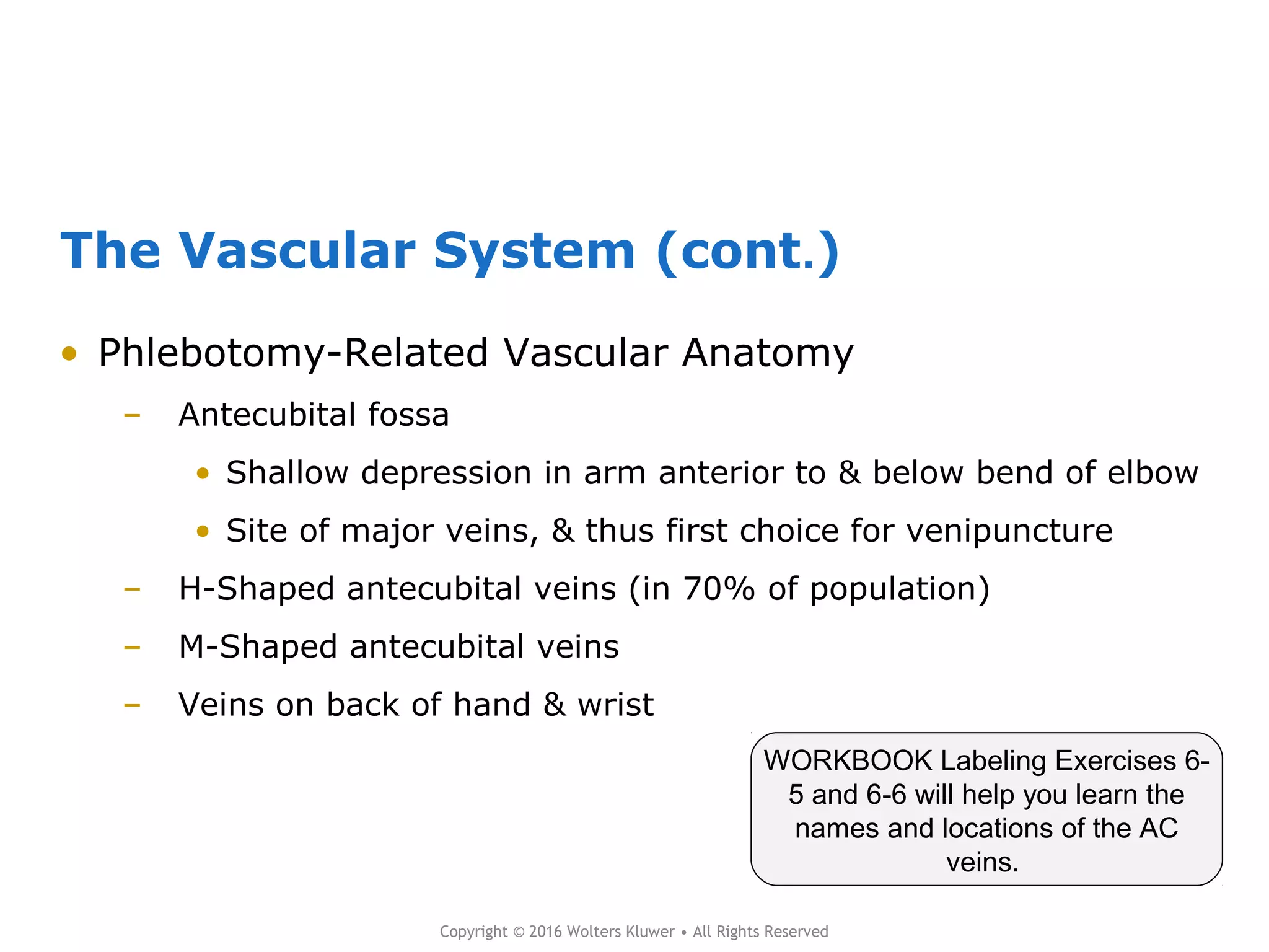 Chapter 6 powerpoint | PPT