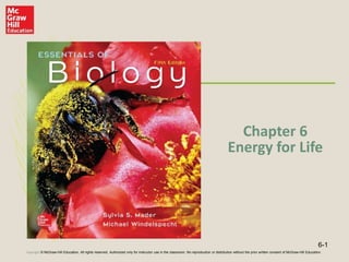 Chapter 6 Energy for Life | PPTX