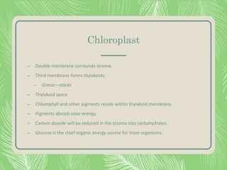 Chapter 6 Energy for Life | PPTX