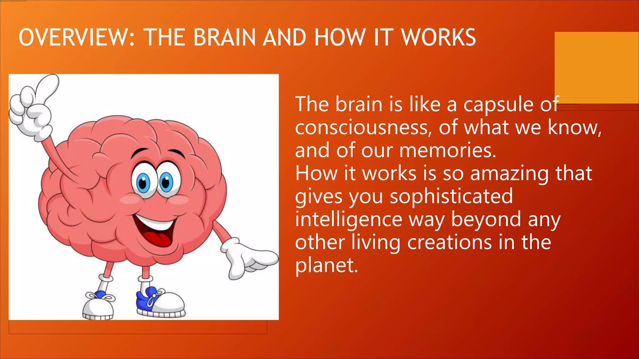 Chapter 6 THE POWERS OF THE BRAIN | PPTX