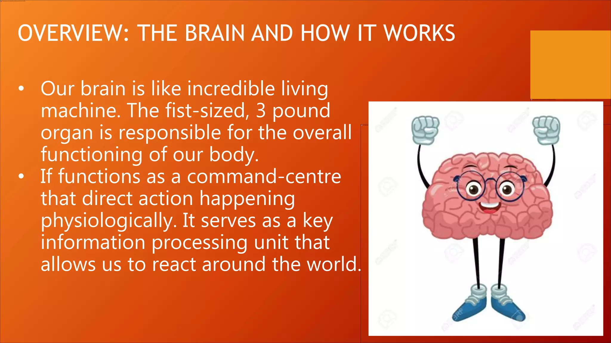 Chapter 6 THE POWERS OF THE BRAIN | PPTX