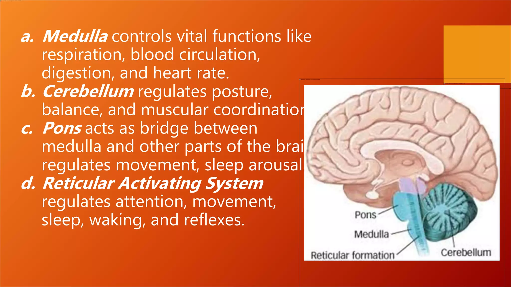 Chapter 6 THE POWERS OF THE BRAIN | PPTX