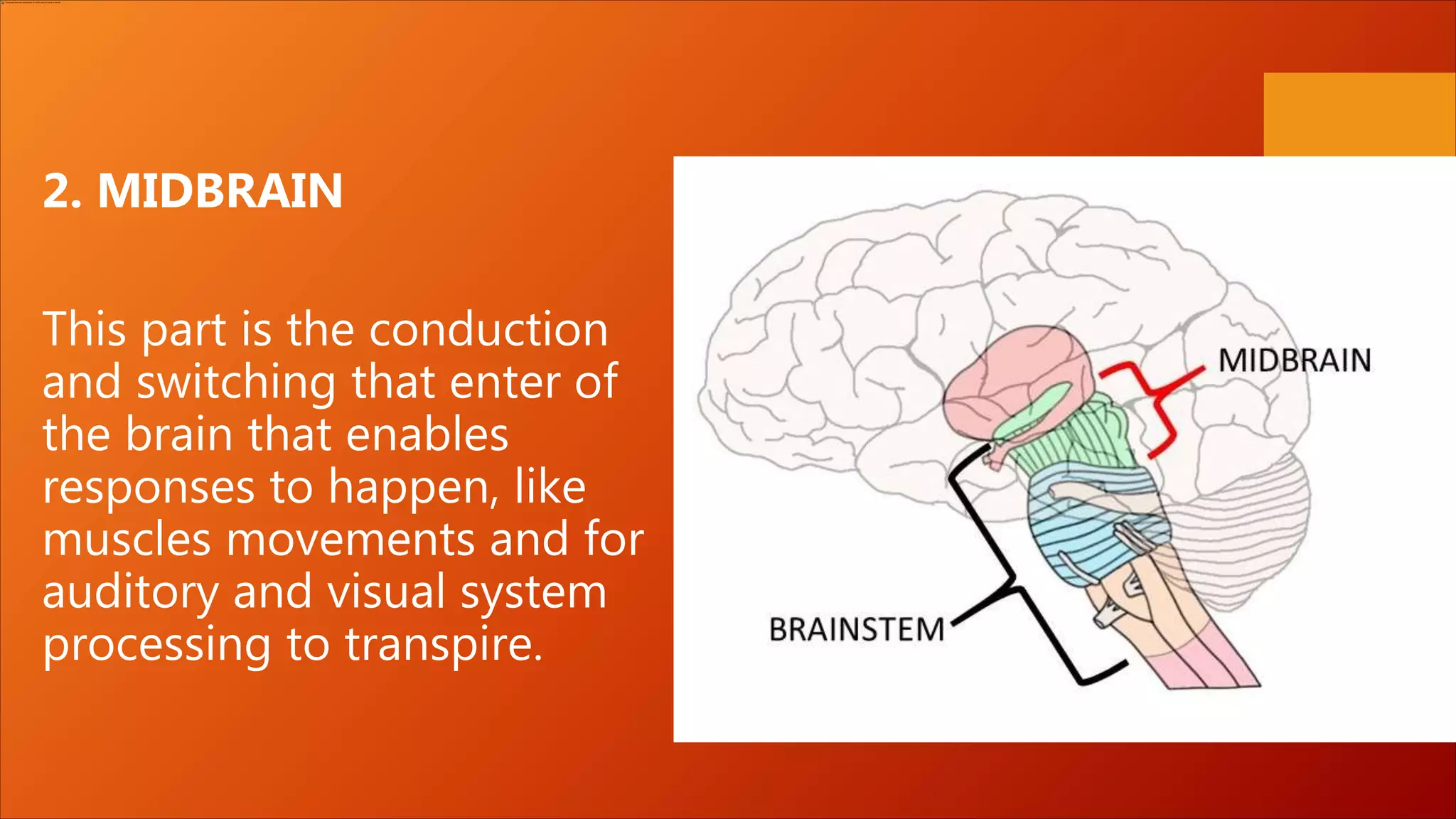 Chapter 6 THE POWERS OF THE BRAIN | PPTX
