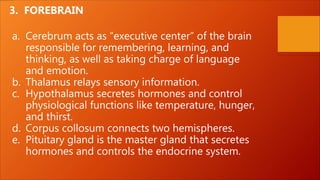 Chapter 6 THE POWERS OF THE BRAIN | PPTX