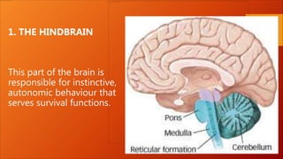 Chapter 6 THE POWERS OF THE BRAIN | PPTX