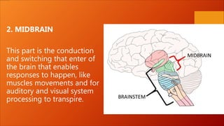 Chapter 6 THE POWERS OF THE BRAIN | PPTX