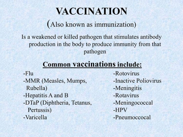 Chapter 6 Presentation | PPT