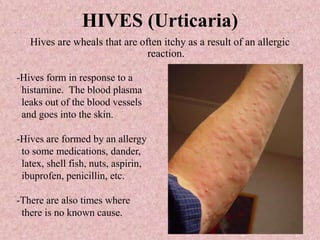 Chapter 6 Presentation | PPT