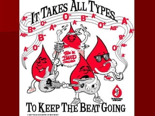 Chapter 6 Presentation: Blood Typing | PPT
