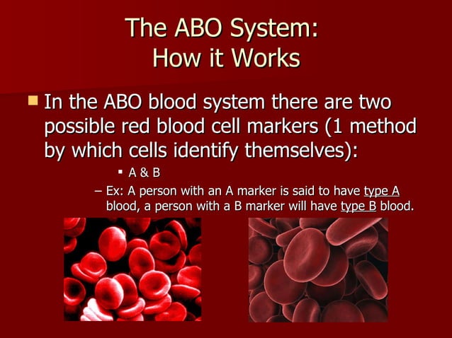 Chapter 6 Presentation: Blood Typing | PPT | Blood Disorders | Diseases ...