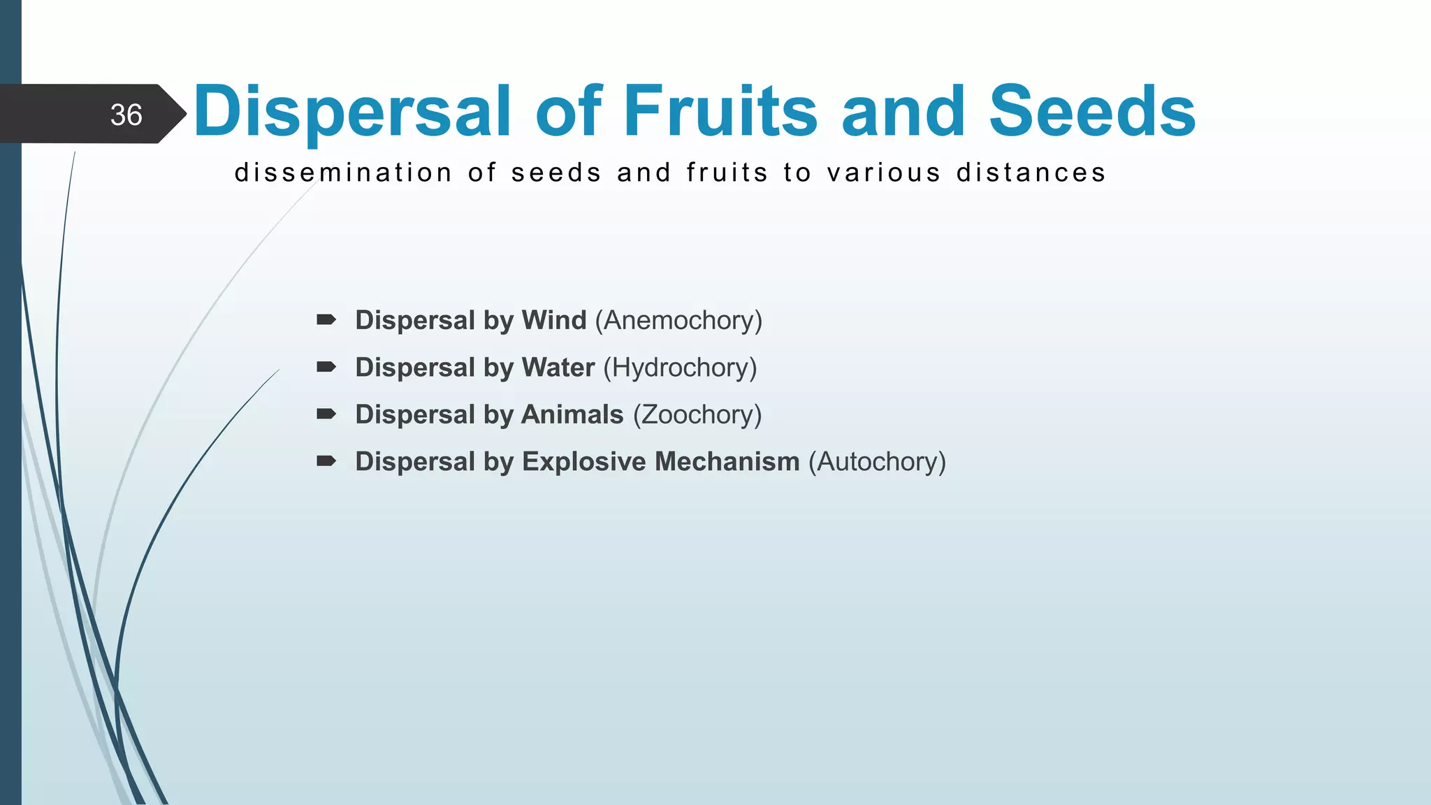 Chapter 6 principles of ecology | PPTX