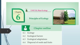 Chapter 6 principles of ecology | PPTX