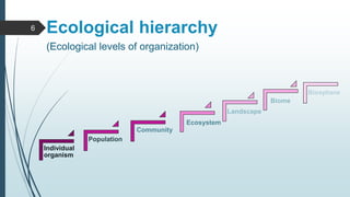 Chapter 6 principles of ecology | PPTX