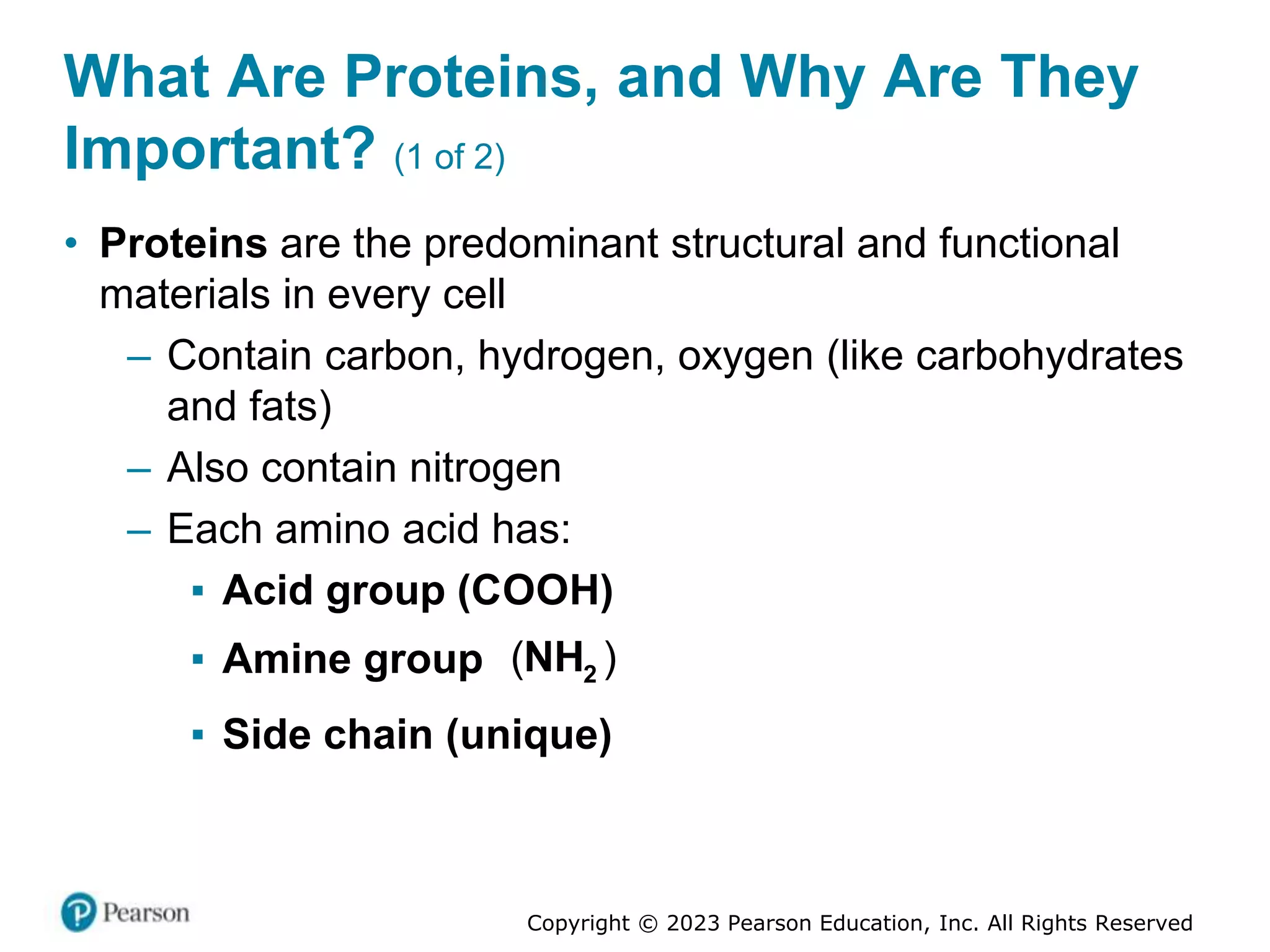 CHAPTER 6 PROTEINS.pptx