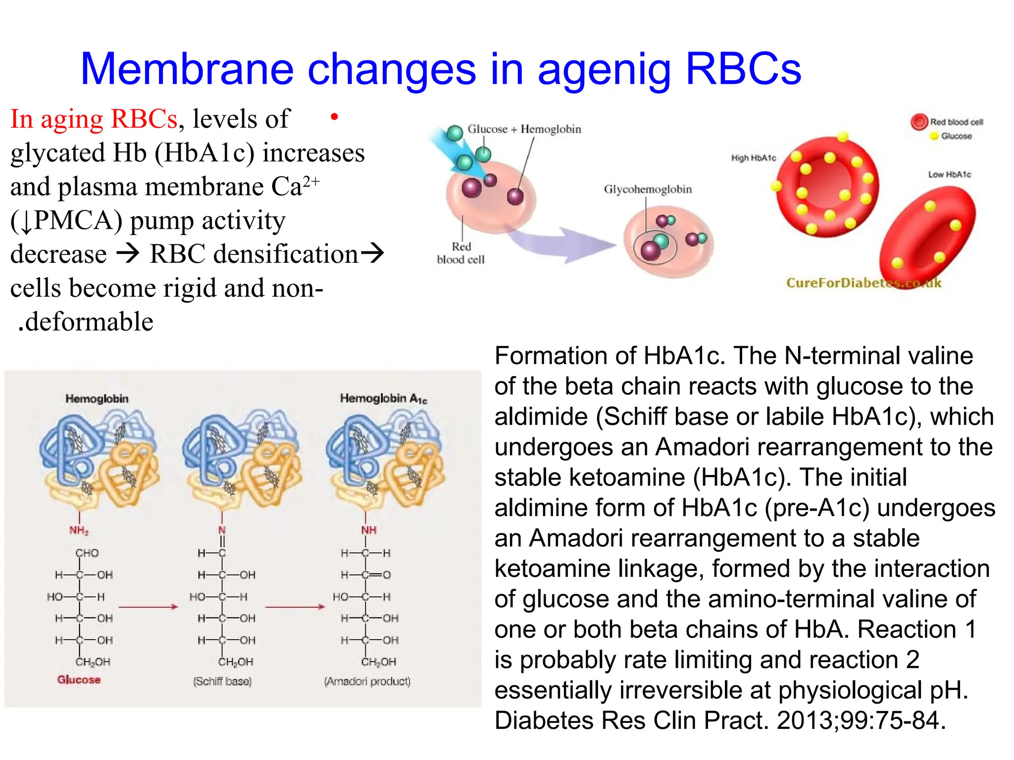 Chapter 6_Pt2_RBC_Catabolism_Instrumentation in hematology.ppt