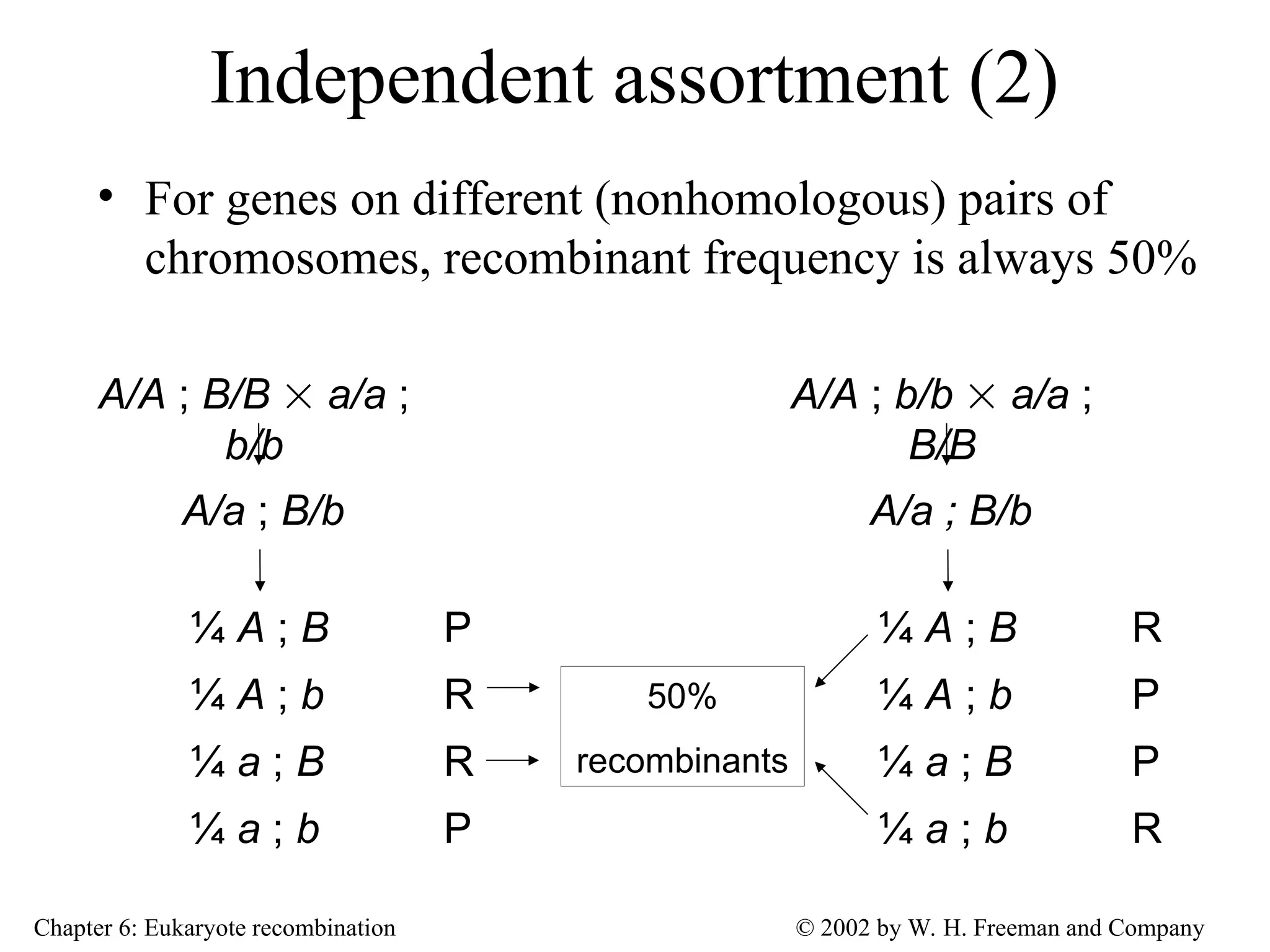 Chapter6_GeneticRecombinationEukaryotes.ppt