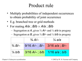 Chapter6_GeneticRecombinationEukaryotes.ppt