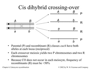 Chapter6_GeneticRecombinationEukaryotes.ppt