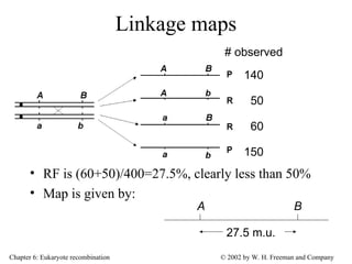 Chapter6_GeneticRecombinationEukaryotes.ppt