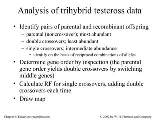 Chapter6_GeneticRecombinationEukaryotes.ppt