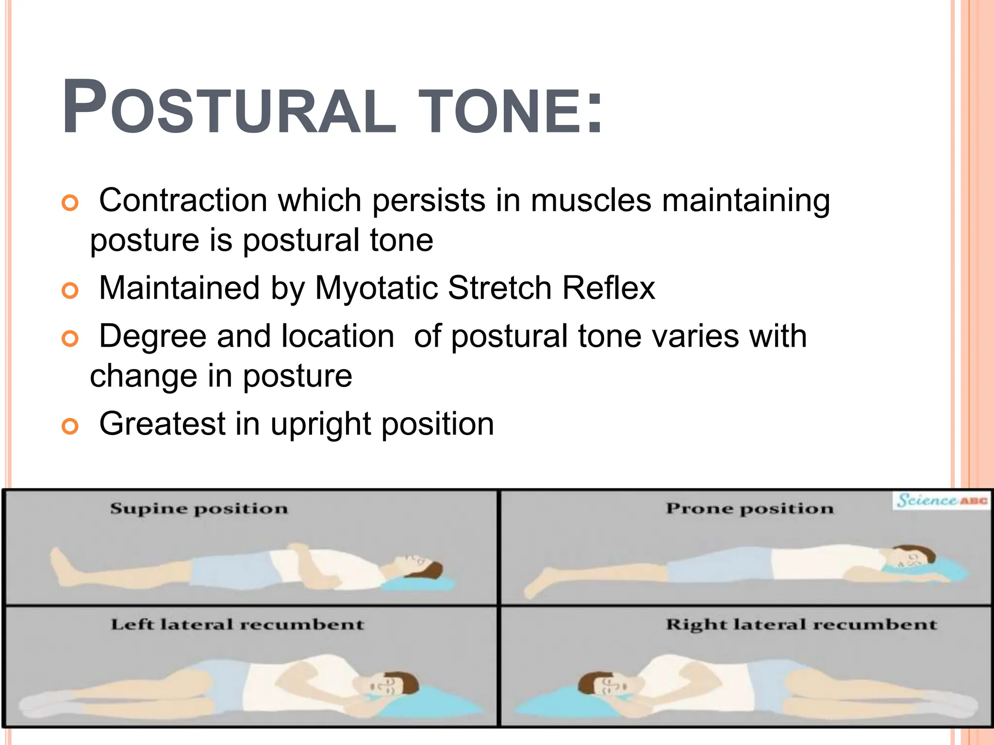 Chapter 6 relaxation.pptx