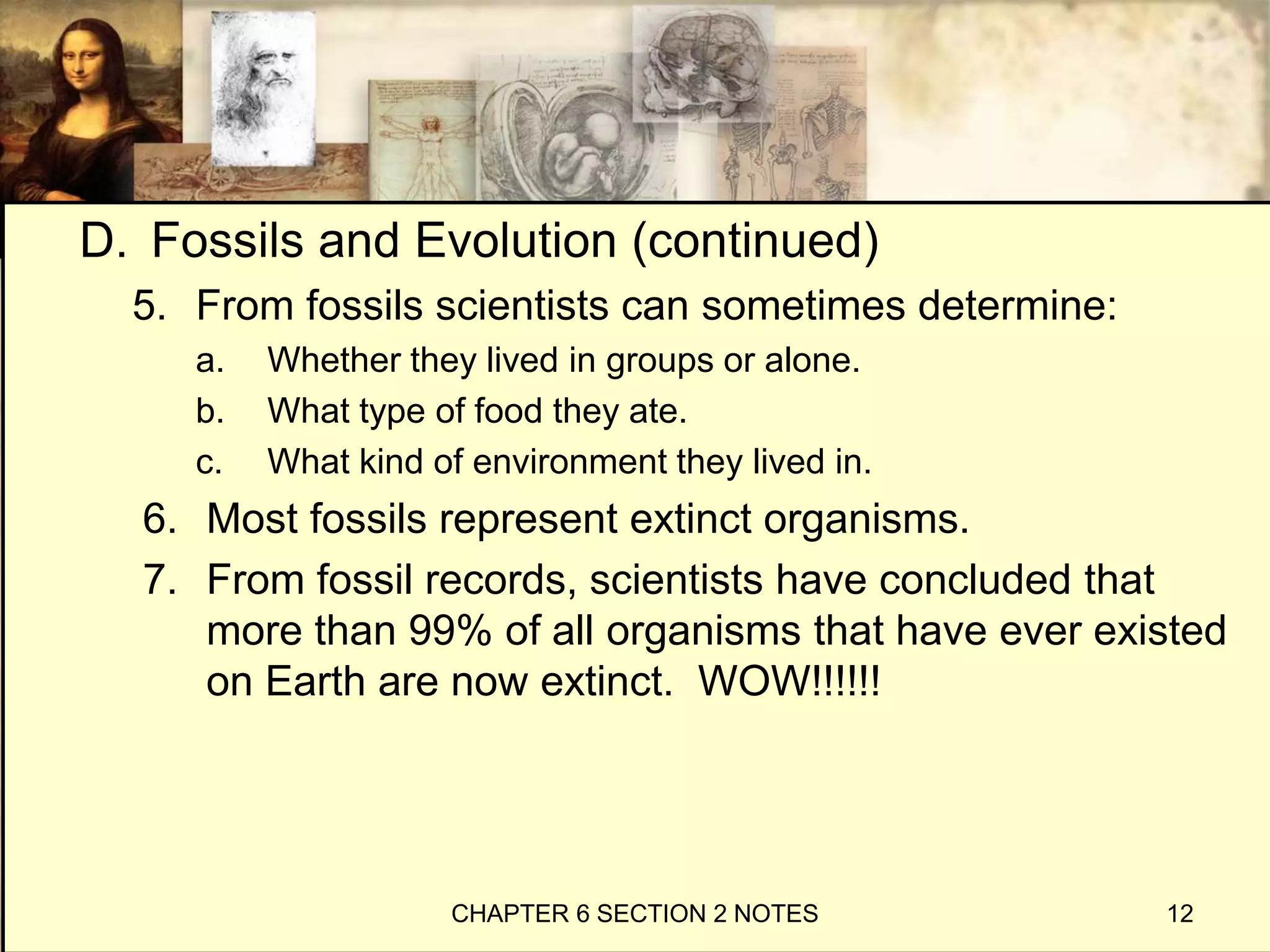 Chapter 6 section 2 (clues about evolution) | PPTX