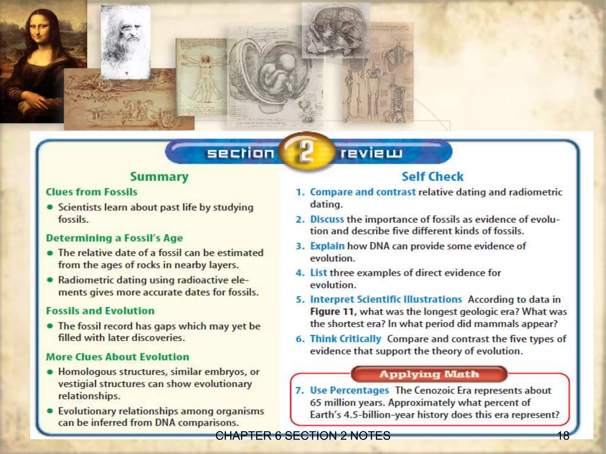 Chapter 6 section 2 (clues about evolution) | PPT